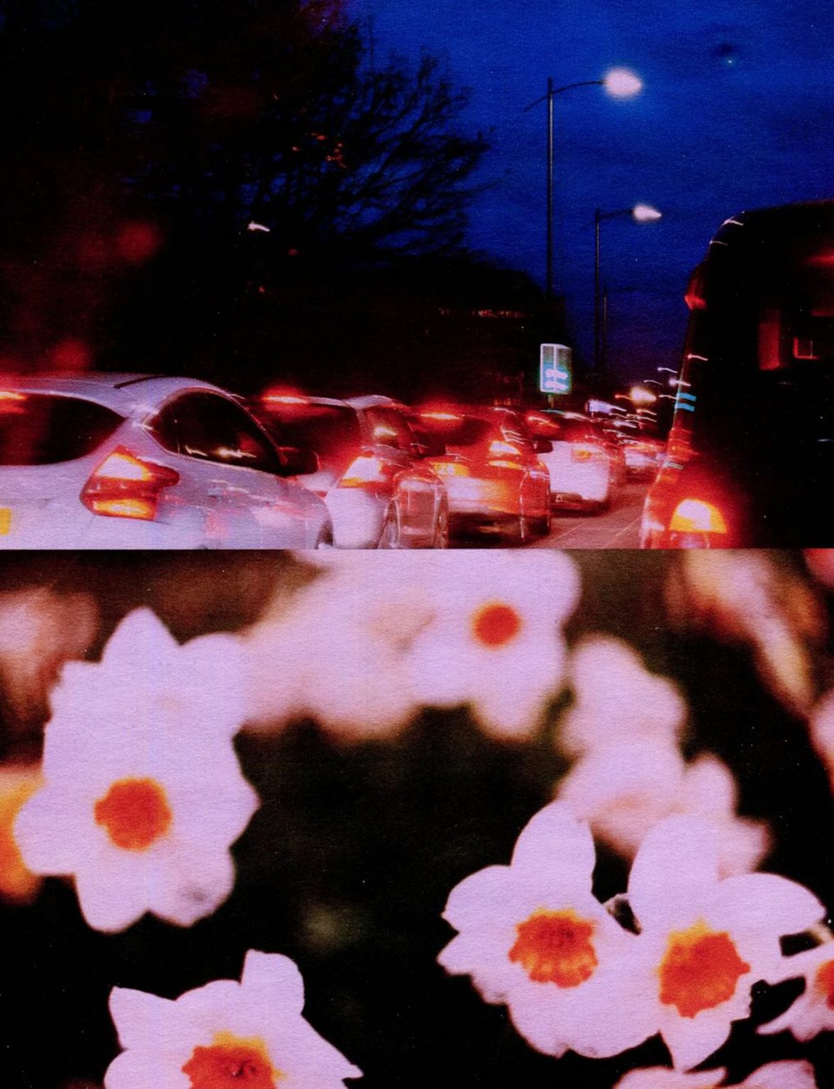 Blue Is Jana Sojka's Colour | Everpress